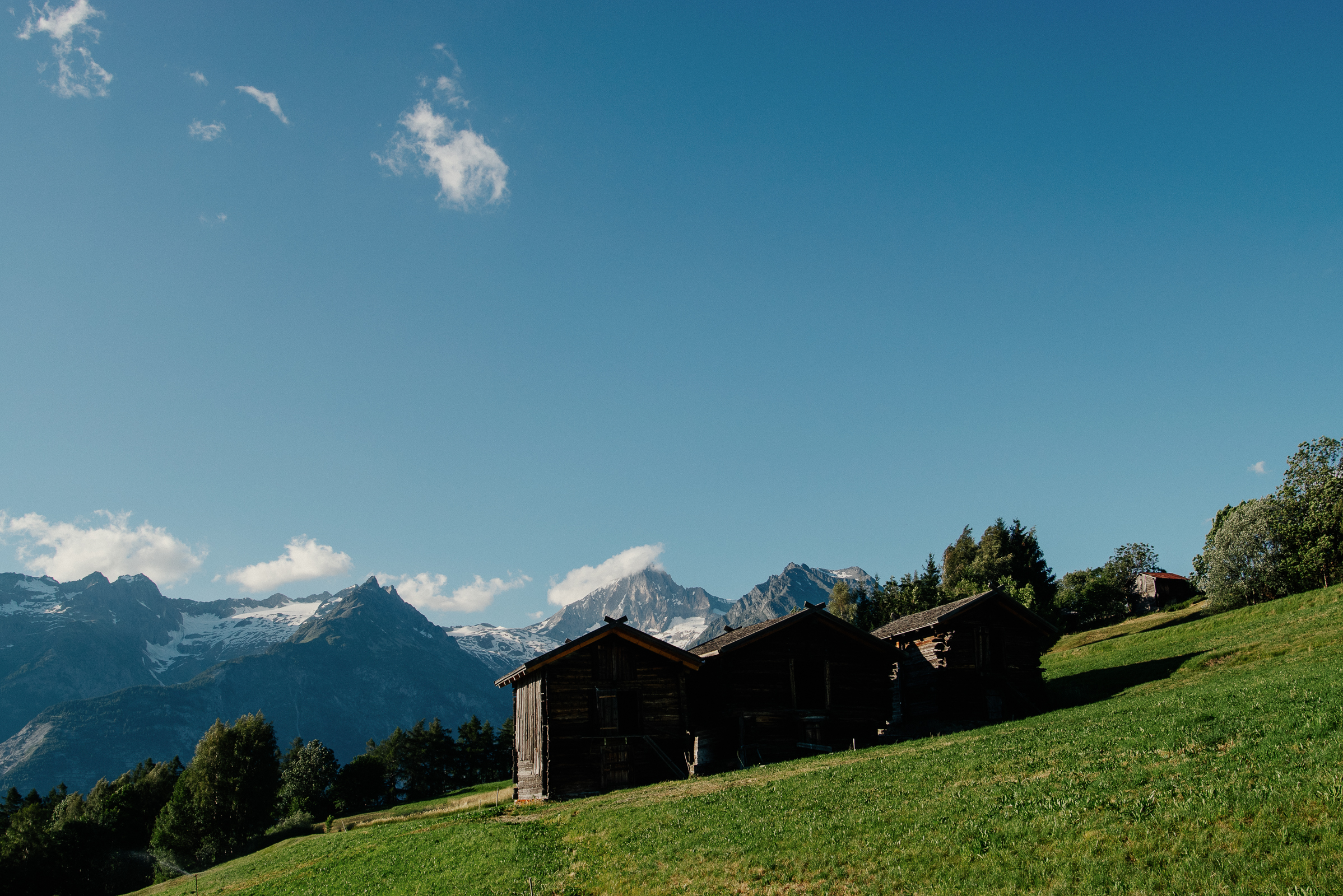 Jobs - Moosalpregion