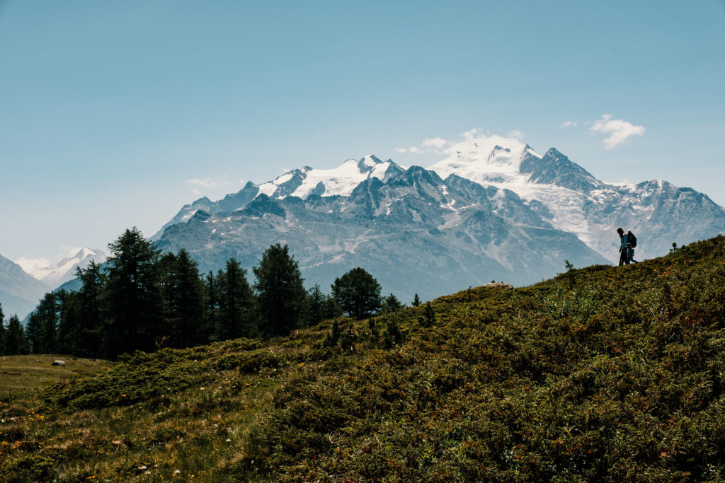 Bus Alpine - Moosalpregion