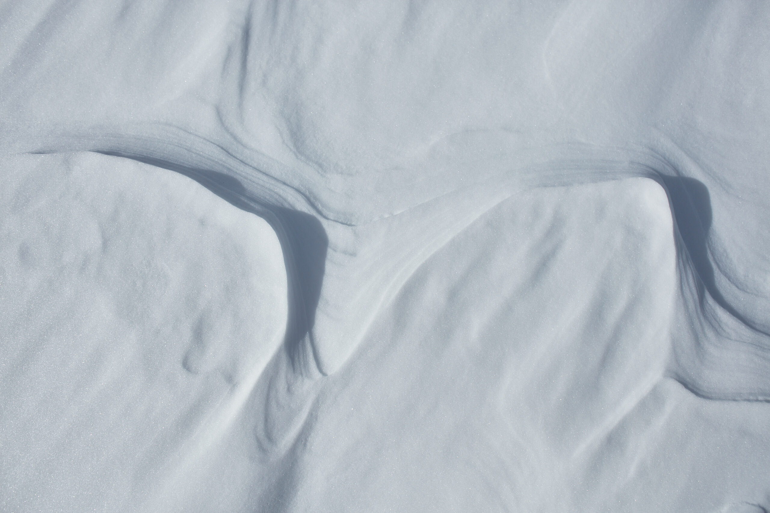 Magic Pass Moosalpregion - Moosalpregion