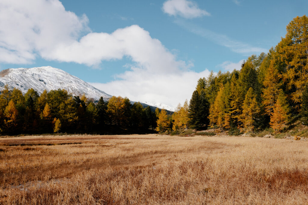 Die Moosalpregion im Herbstkleid - Moosalpregion