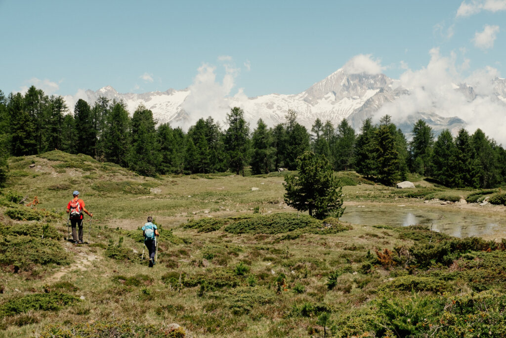Wandern im Herzen des Oberwallis - Moosalpregion