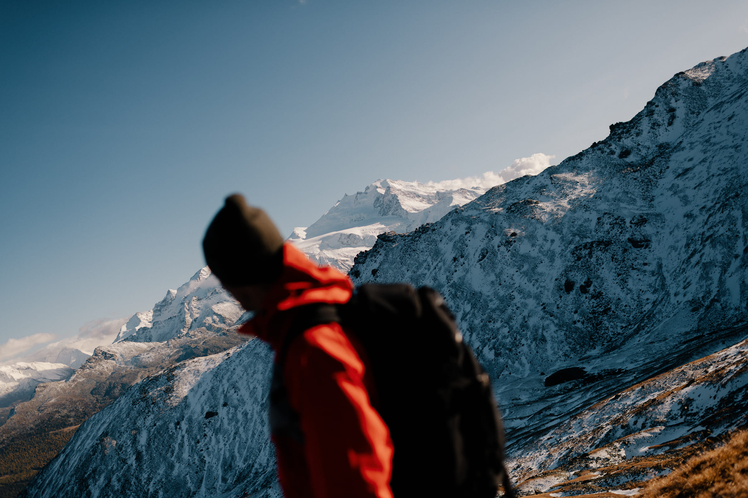 Homepage - Moosalpregion